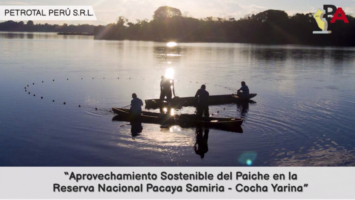 Aprovechamiento Sostenible del Paiche en la Reserva Nacional Pacaya ...