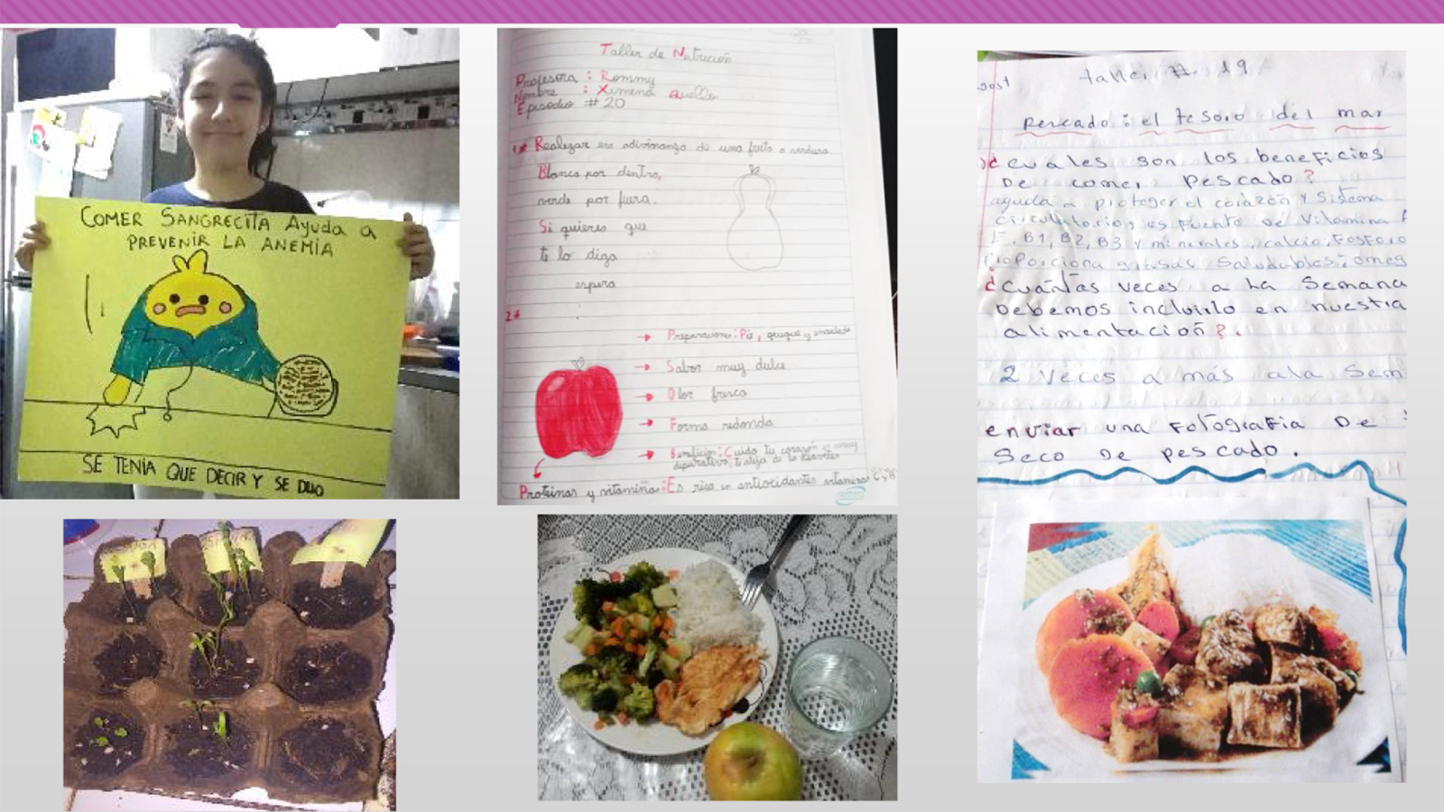 PROMSA: Programa de Promoción de la Salud | Premios ProActivo